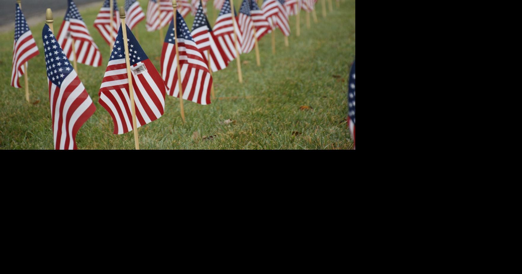 Veteran, retired Vernon Memorial Healthcare nurse Sandy Marohl ...