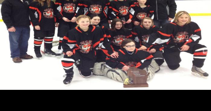 Tomah-BRF girls third at state hockey