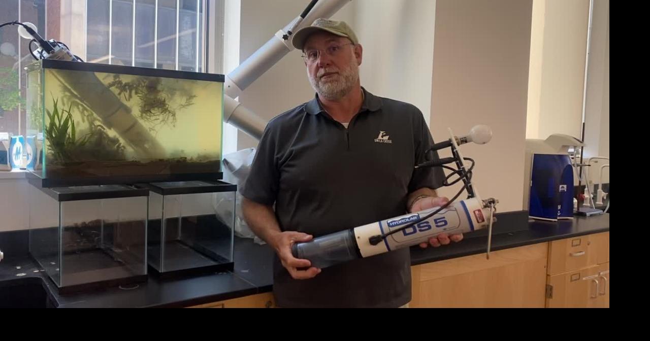 UW-L researchers studying Myrick Marsh this summer