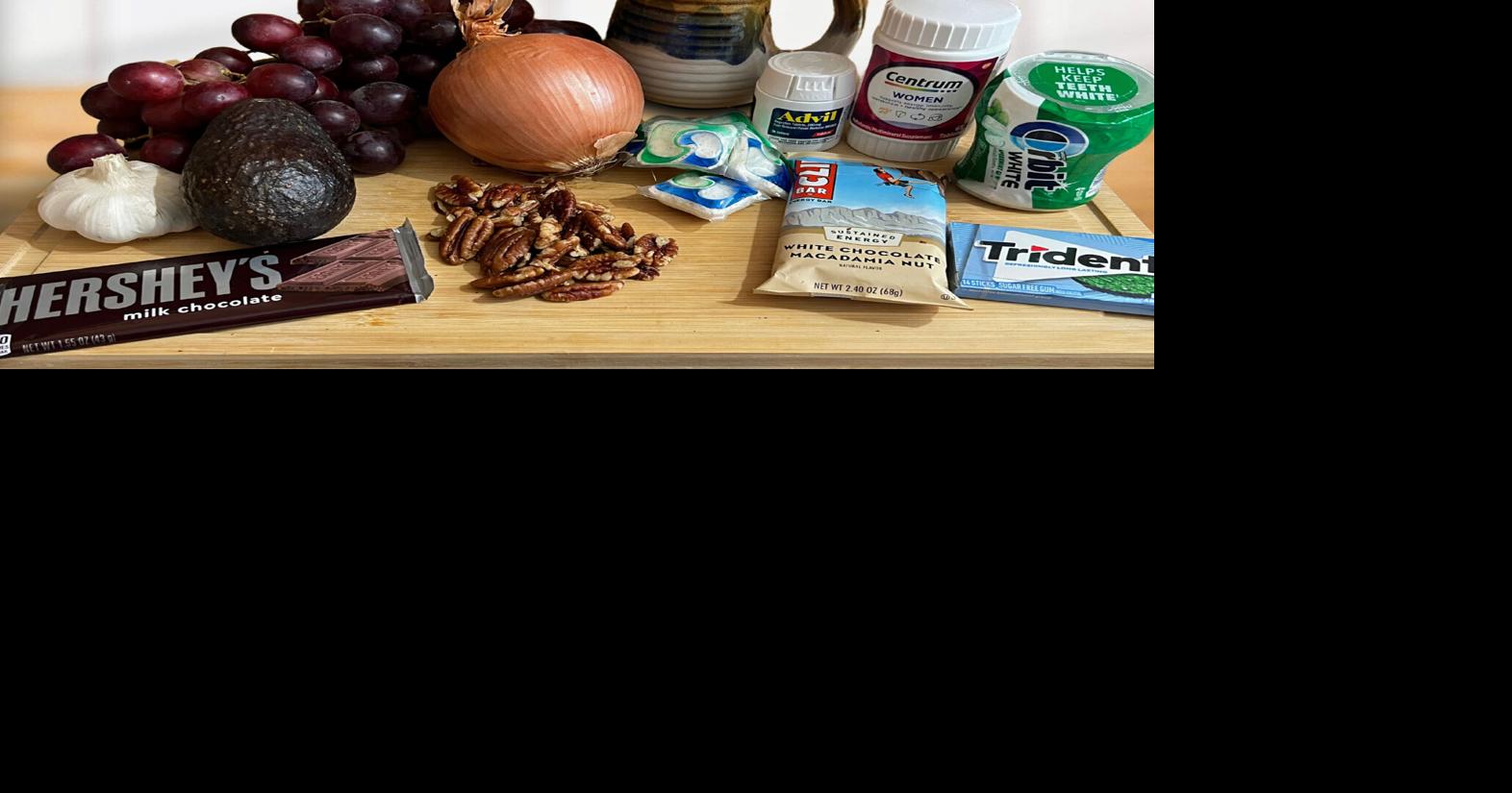 household items poisonous to pets