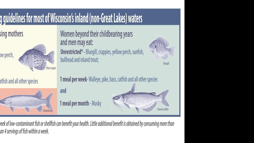 DNR updates which fish can be eaten safely | Local News ...