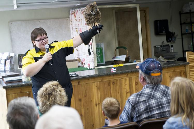 A day for the birds: Families flock to Owl Center on International Owl ...