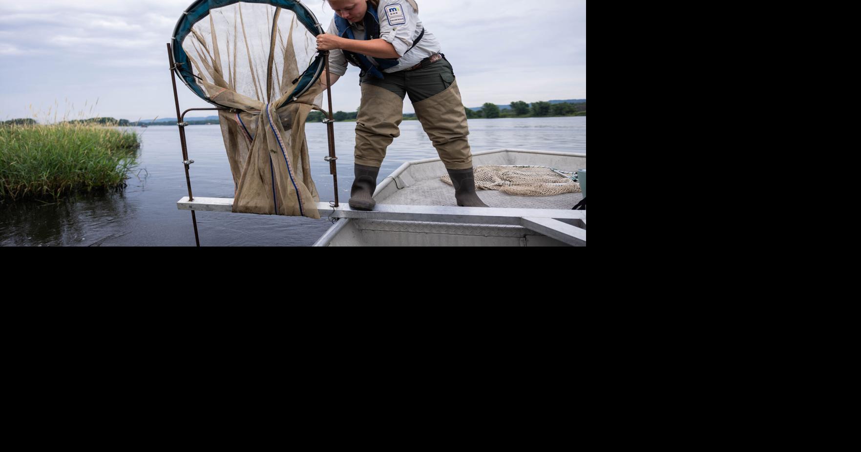 'Trying to buy time': Scientists battle to slow spread of invasive carp ...