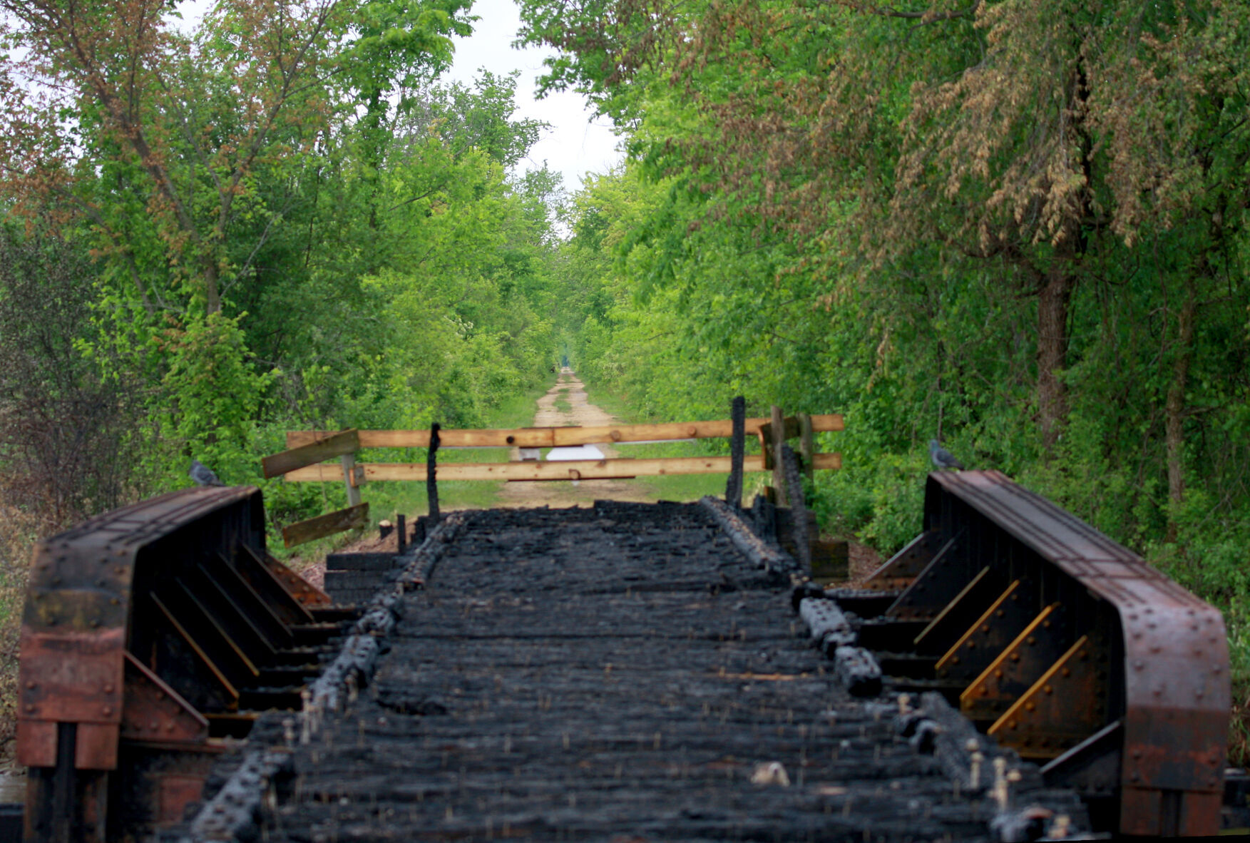 Trempealeau businesses rally for quick Tank Creek bridge fix