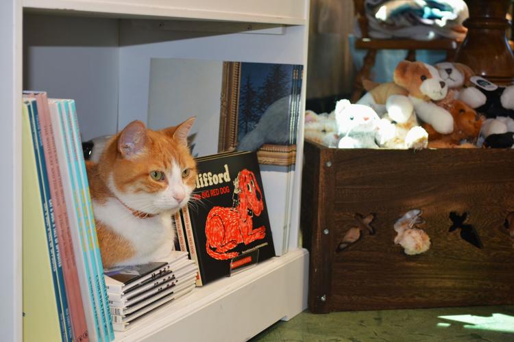 Pet-centric decor store opens in La Crosse's North Side