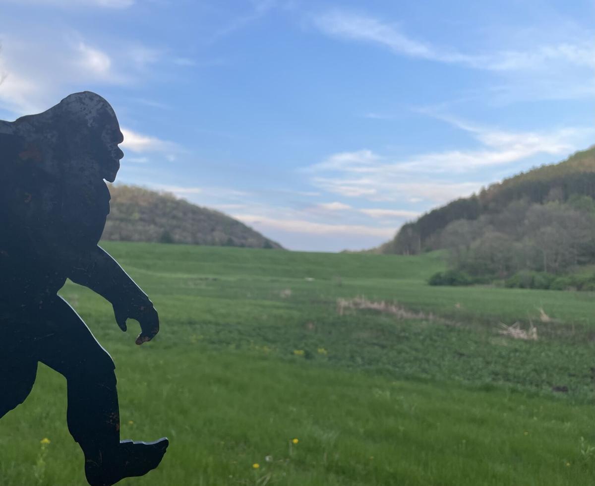 Get Lost! In Vernon County: Sidie Hollow dam