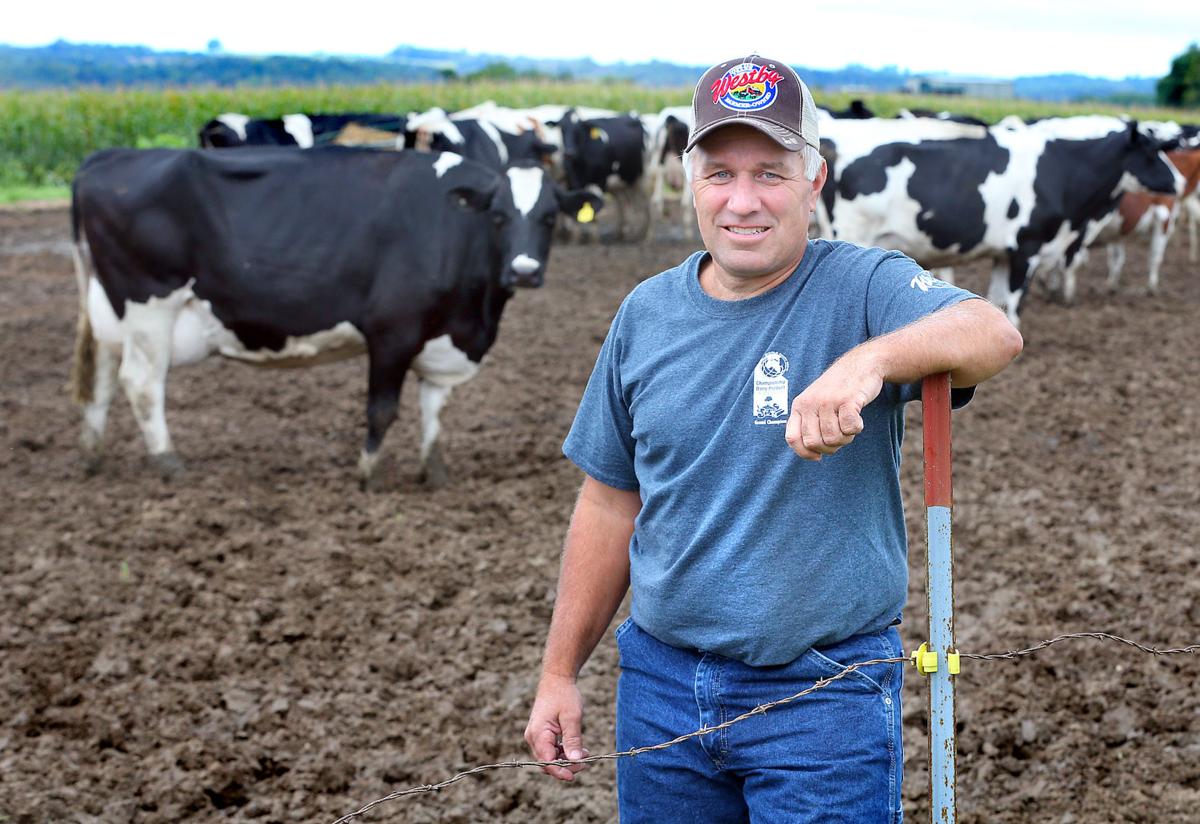 Rural Viroqua dairy farmer is pessimistic about 2017 milk prices ...