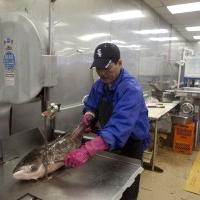 Eat the carp: Some suggest Asian carp could be a delicious dinner