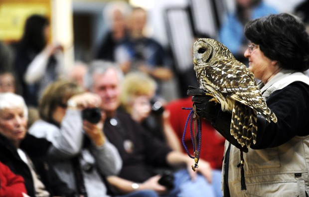 Owl festival continues today in Houston