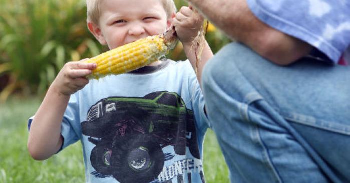 Kornfest car show shines again today