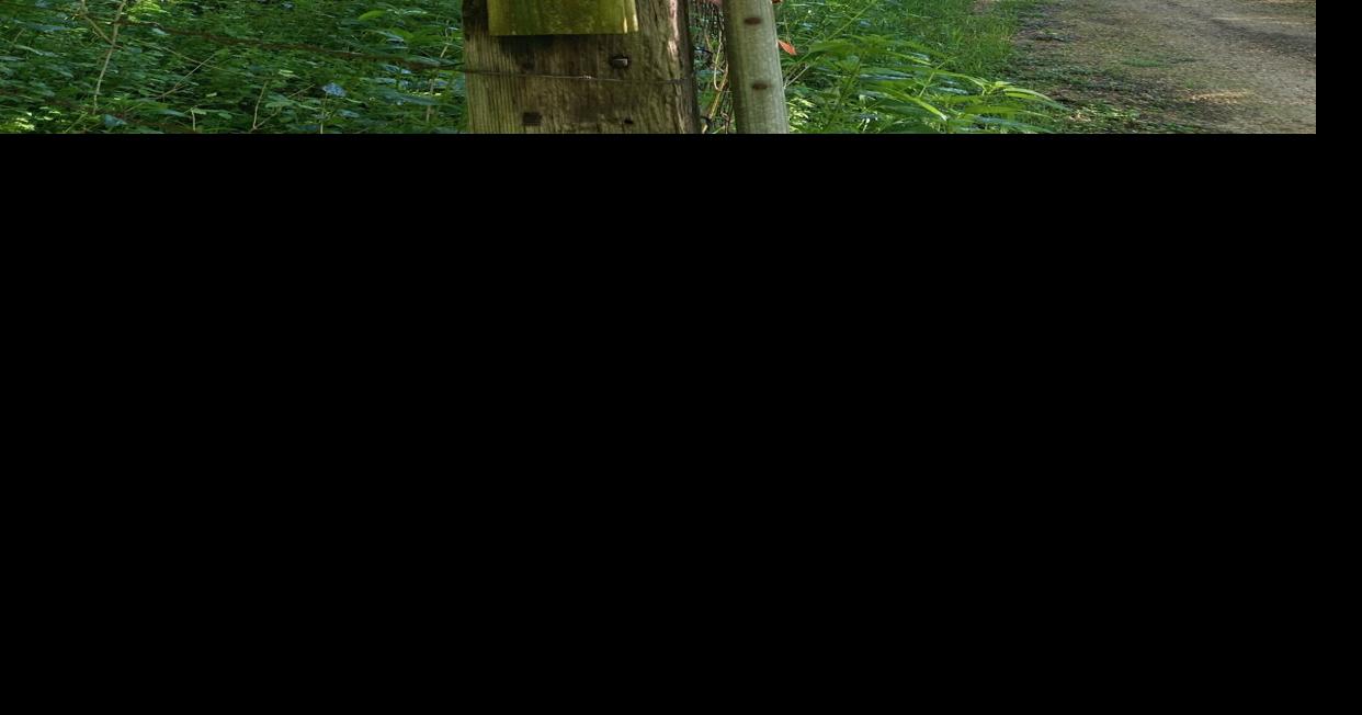 Lees' tree farm kicks off Coon Creek Community Watershed Council’s 2024 ...