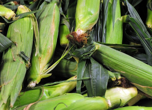 Local sweet corn already on sale