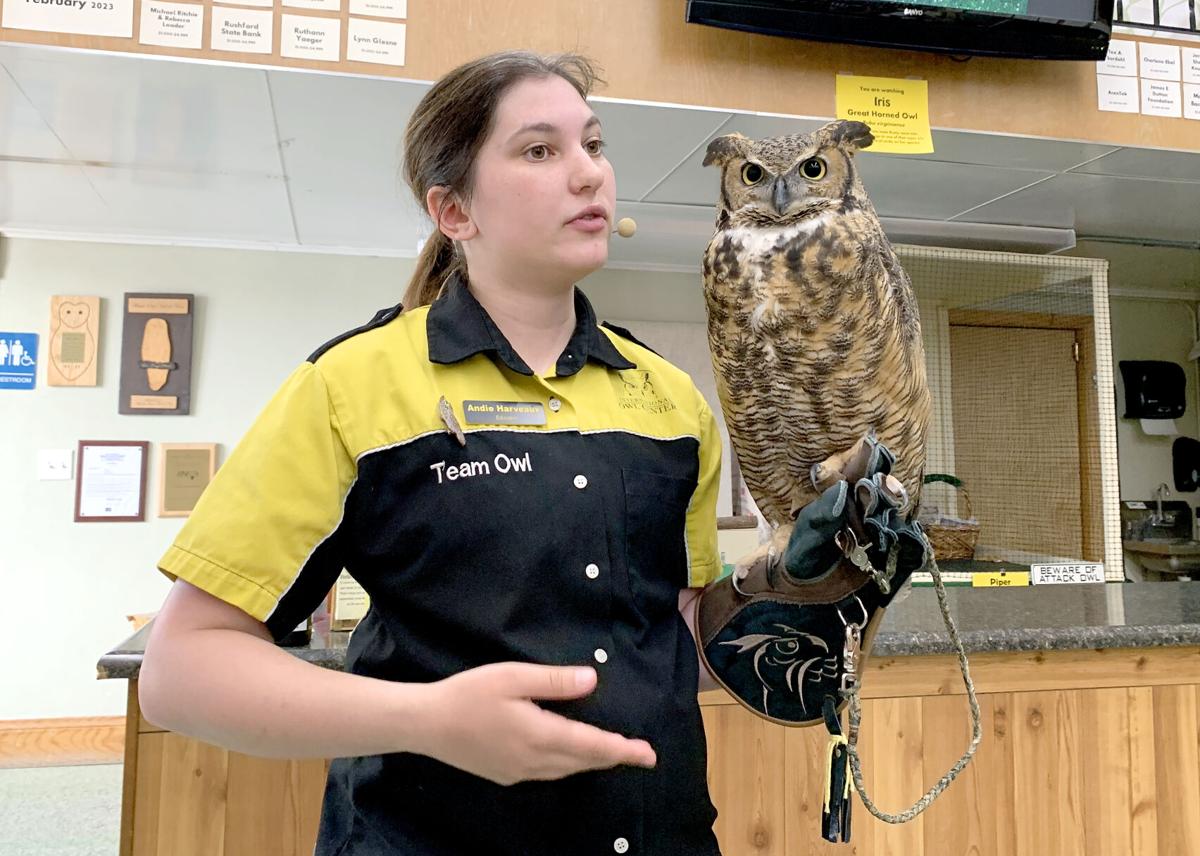 International Owl Awareness Day free open house Friday, Aug. 4