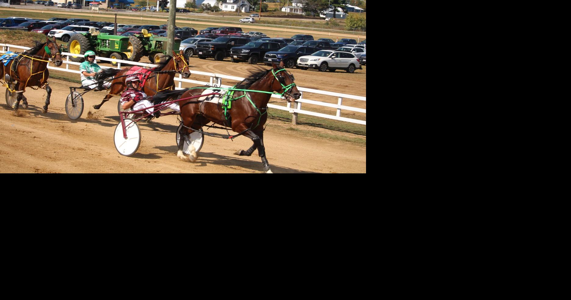 167th Vernon County Fair: Five days of fun and community
