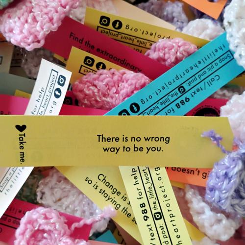 PBS Wisconsin Life to feature Little Heart Project