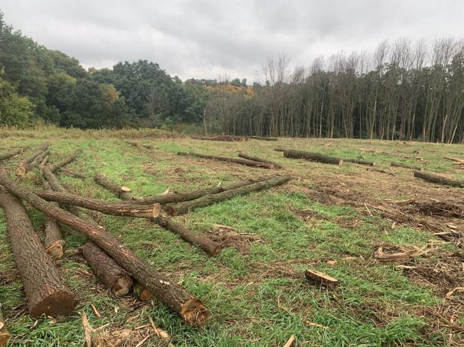 Tom, Sharon Sharratt dial up land conservation efforts in the time of ...