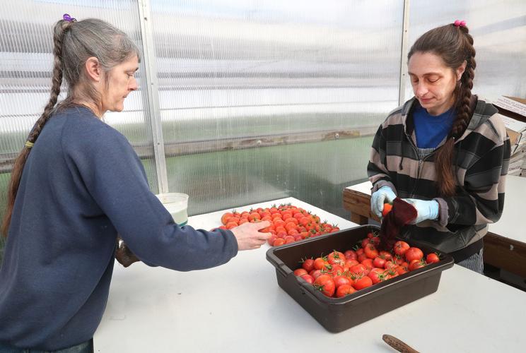 Tomatoes are always in season at The Tomato Patch in Melrose