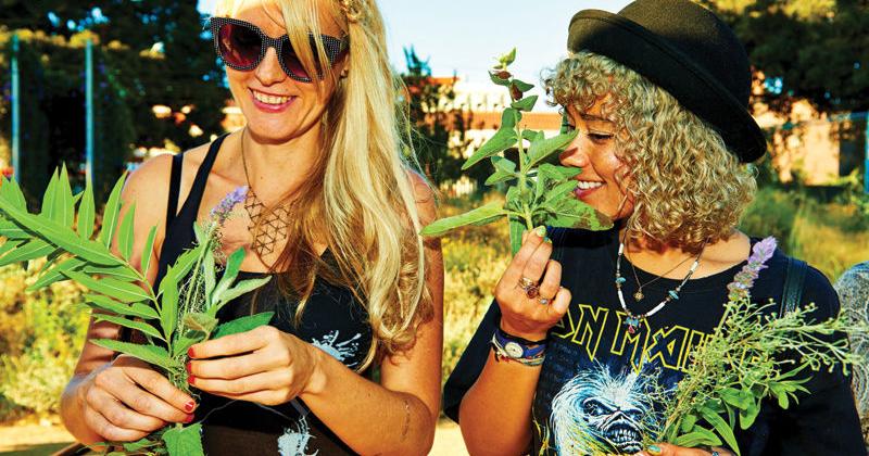 Country Time, Garden Time, and All Kinds of Music Fill Downtown | Arts ...
