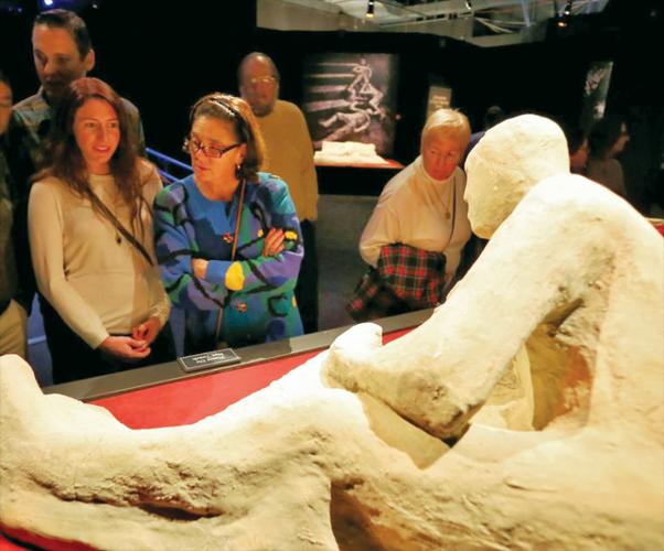 At Science Center, a Magma-nificent Show | Arts and Culture ...