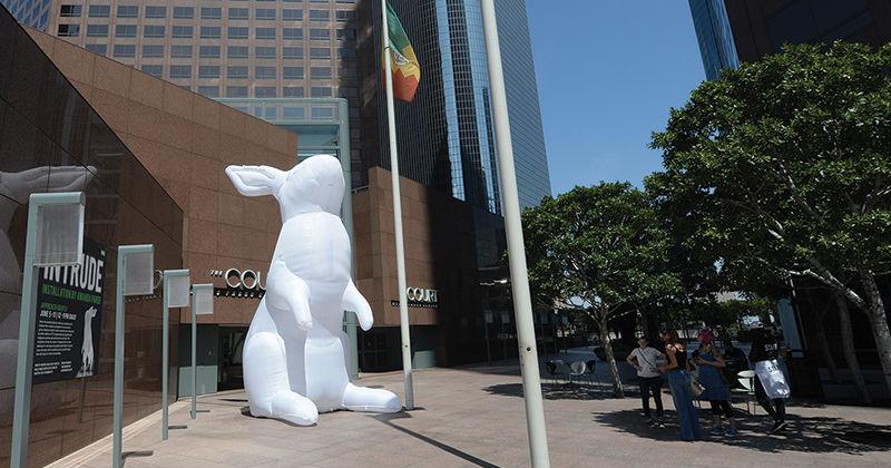 Downtown Is Being Invaded by Giant Inflatable Rabbits | News ...