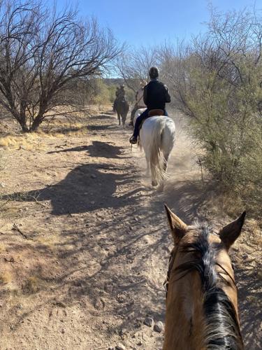Clear Sky, Clear Thoughts: Take time out at luxury ranch | Features ...