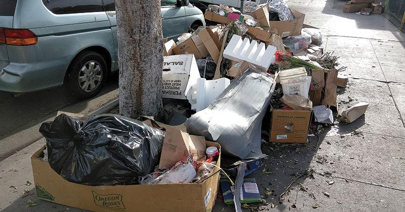 Two Months After Outbreak, Typhus and Trash Concerns Persist in ...
