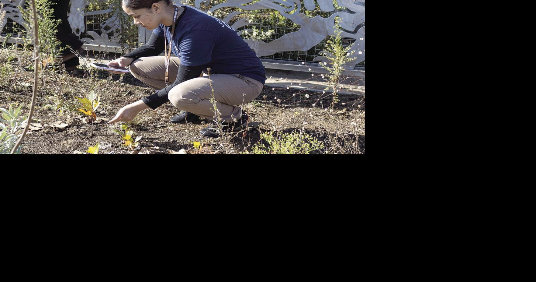 Conservation Minded: South LA teen mentors for zoo council | Features ...