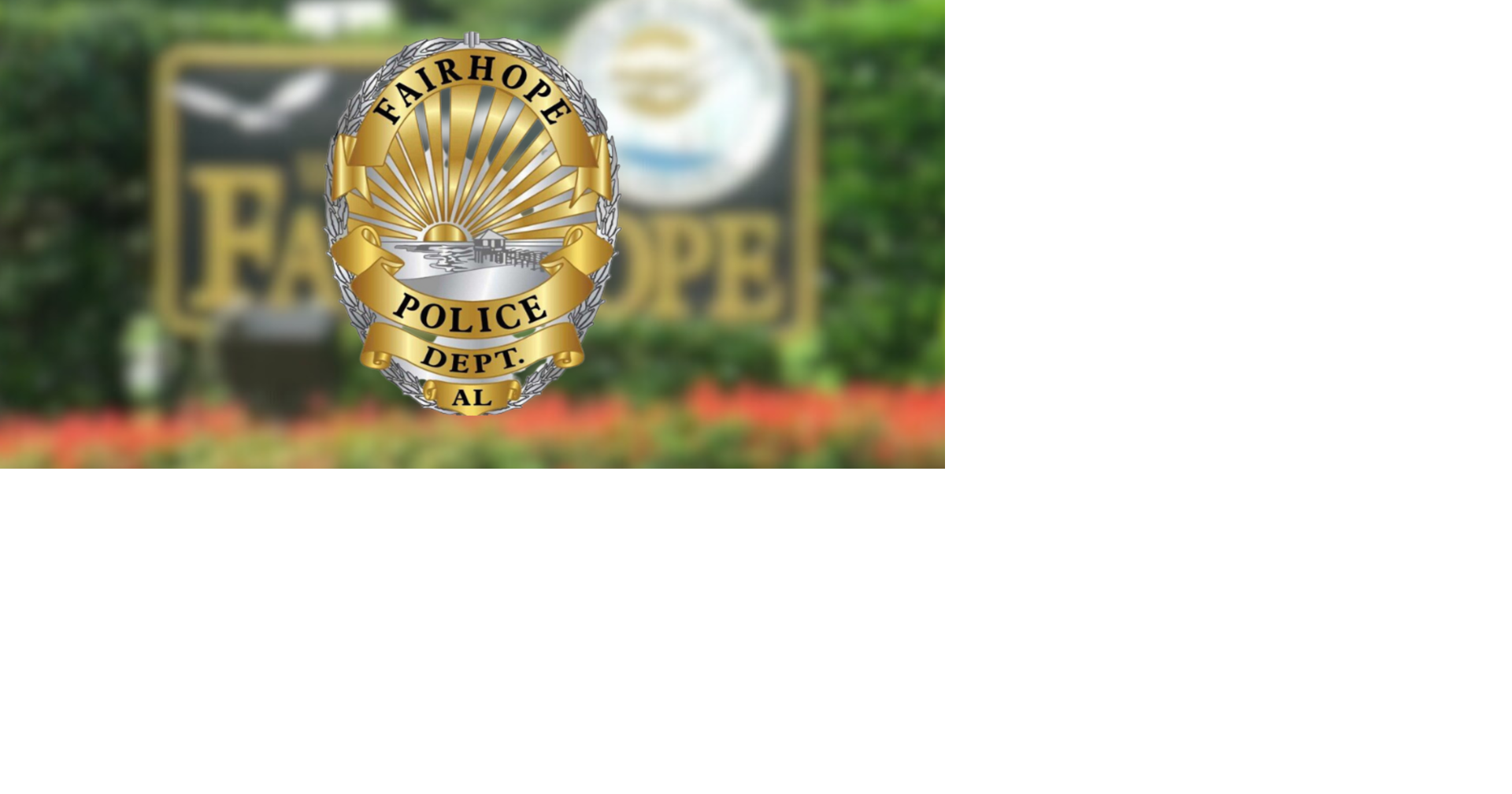 Fairhope PD investigating violent Dollar General 'altercation' | News ...