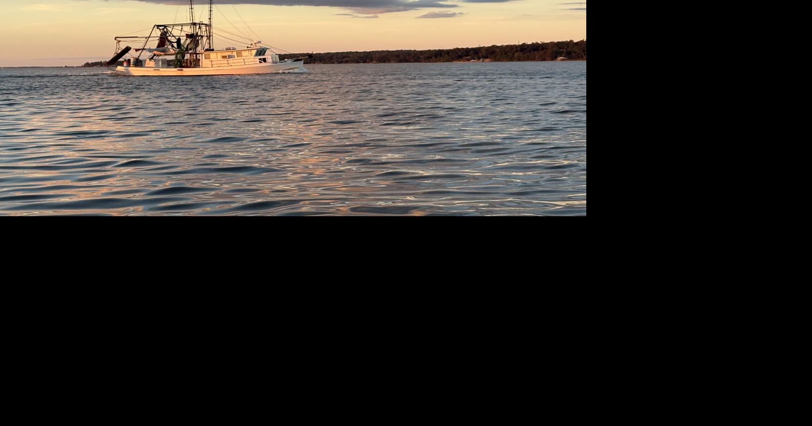 What’s to thank for clearer water in Mobile Bay? | News ...