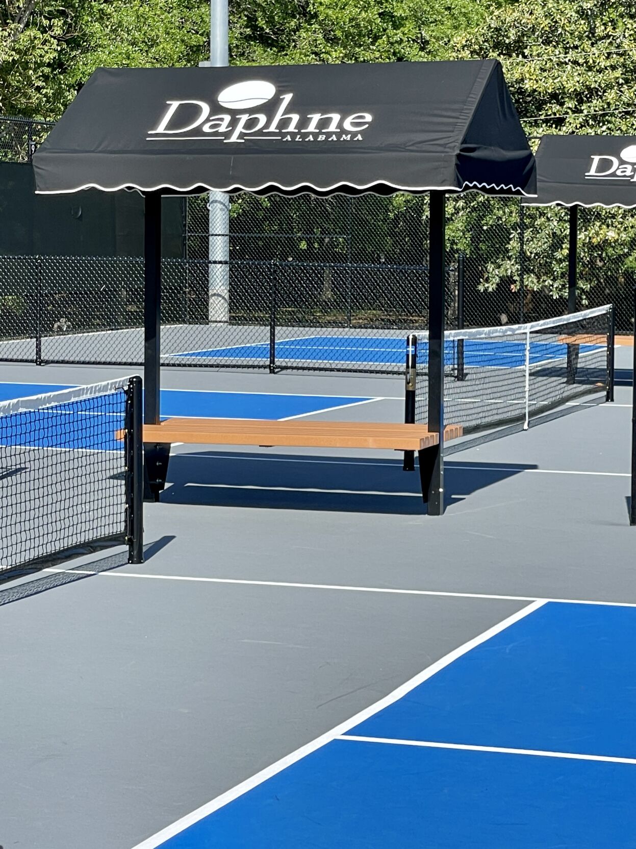 Baldwin Bone & Joint expanding outreach with pickleball tournament ...