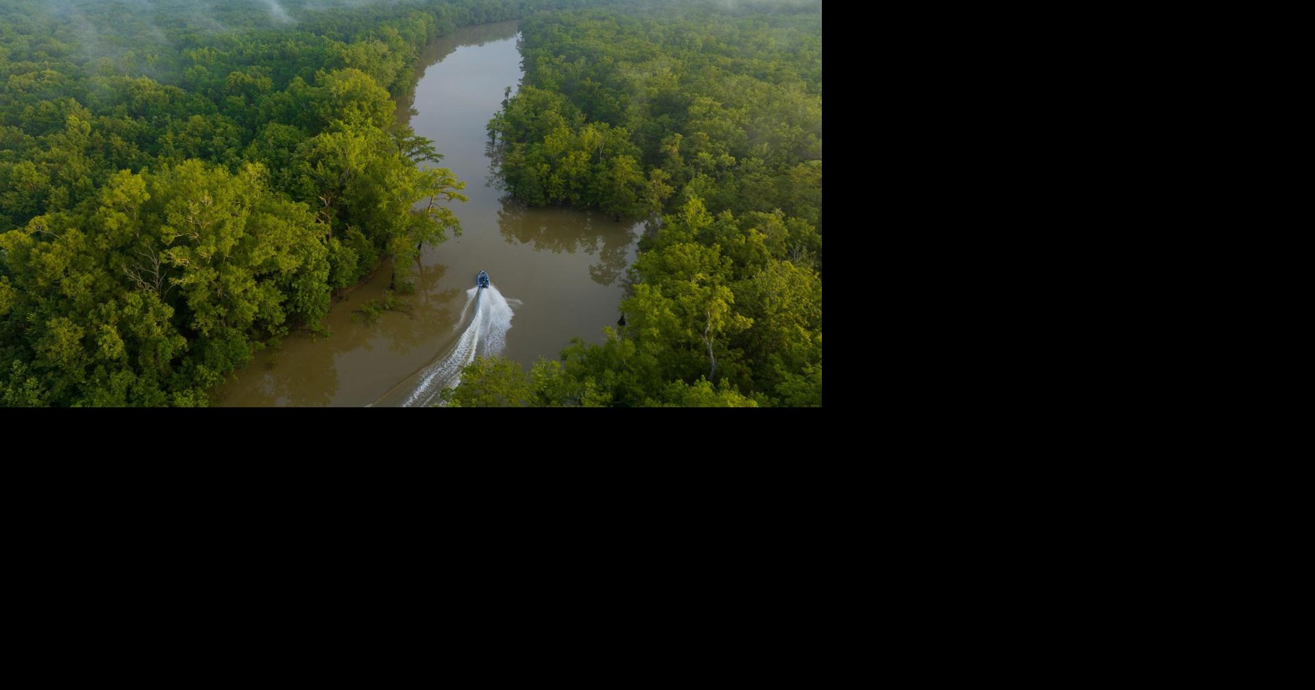 Mobile Delta preserve to be named for E.O. Wilson | News ...