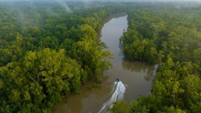 Mobile Delta preserve to be named for E.O. Wilson | News ...