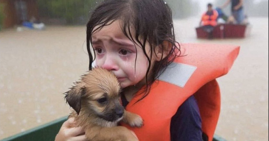 Sunday Brunch — Ensconced in TP | Legislation | lagniappemobile.com