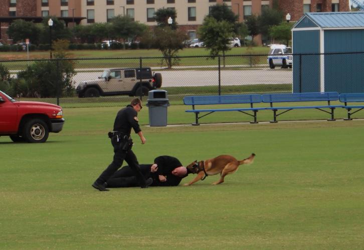 Foley plays host to national police dog competition | News ...