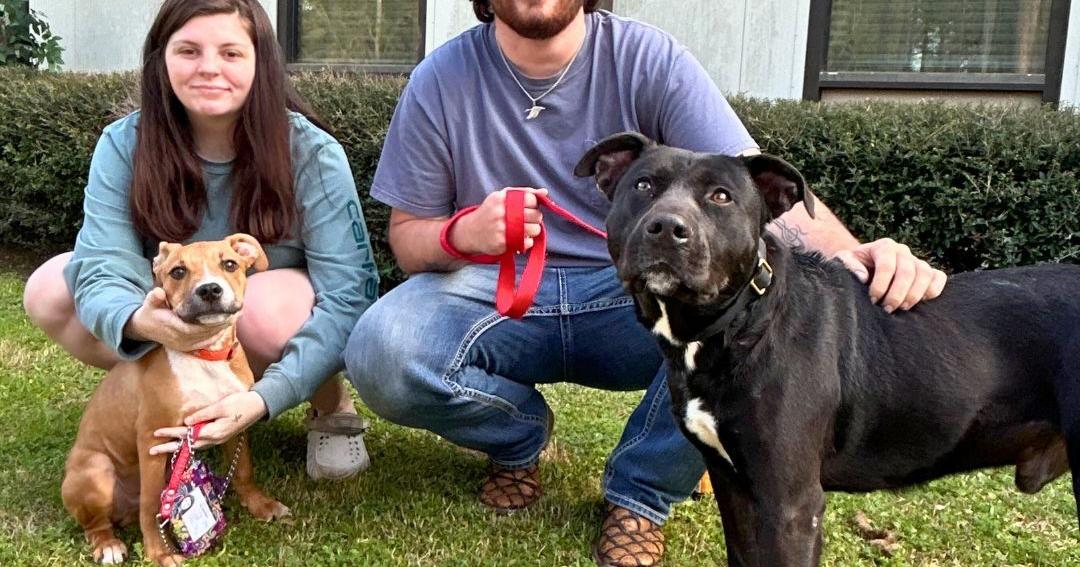 After months in a bucket, ‘Cheetos’ finds his forever home | News ...