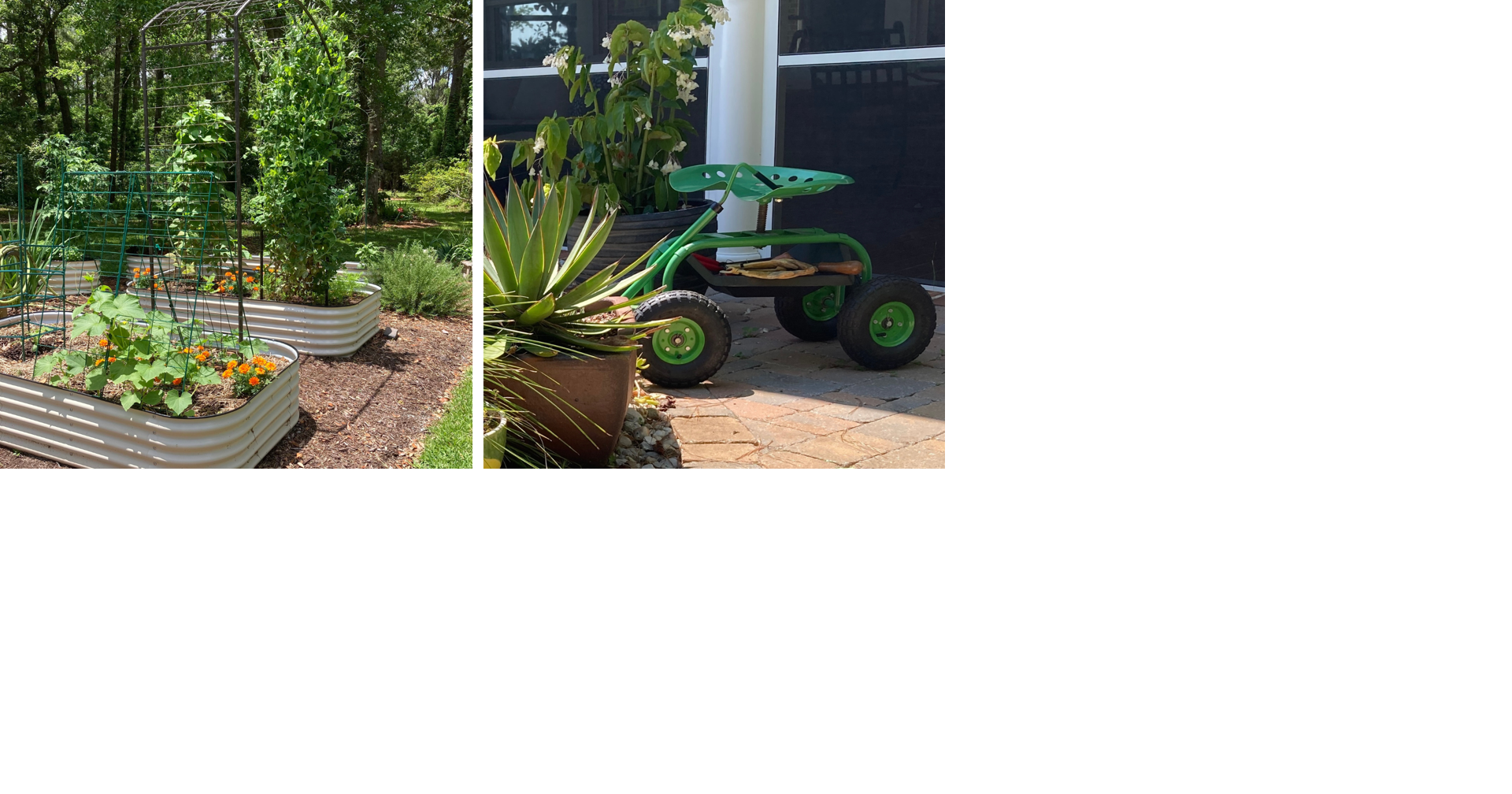 Adaptive gardening: Garden smarter — garden for life! | Style ...