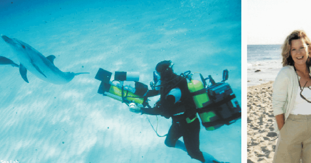 Documentary celebrates life of acclaimed underwater filmmaker | Local ...