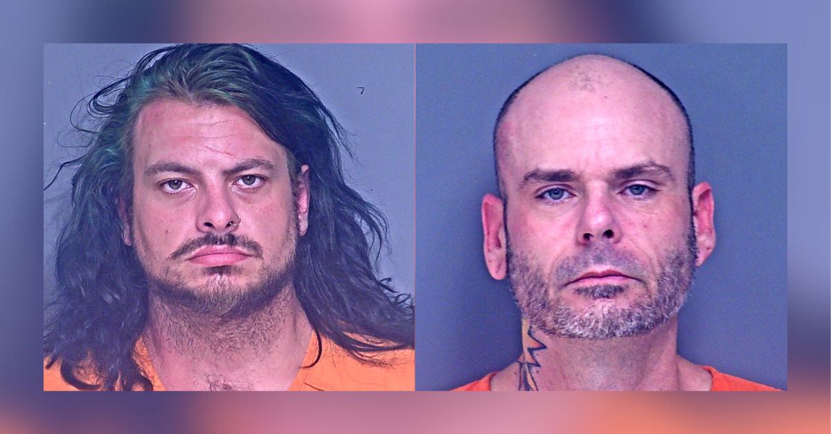 Three Foley defendants sentenced for fraud, identity theft | Local ...