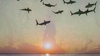 Map butchers Mobile — B'ham sharks are circling | Local Podcast ...