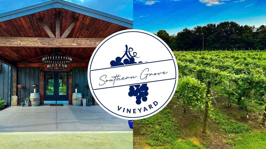 Sprawling vineyard, winery set to open in Fairhope | Cuisine ...