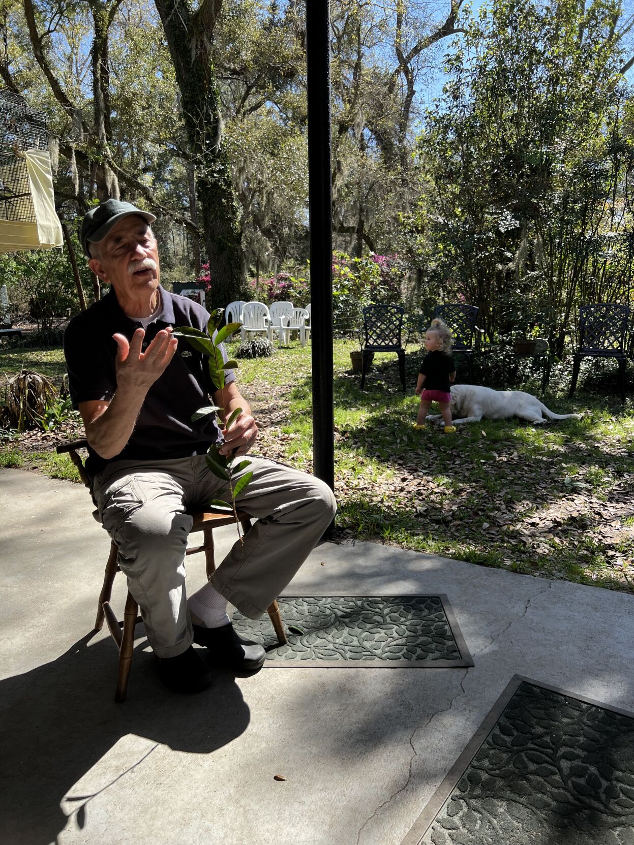 Spilling the tea on Fairhope Tea Plantation | Cuisine | lagniappemobile.com