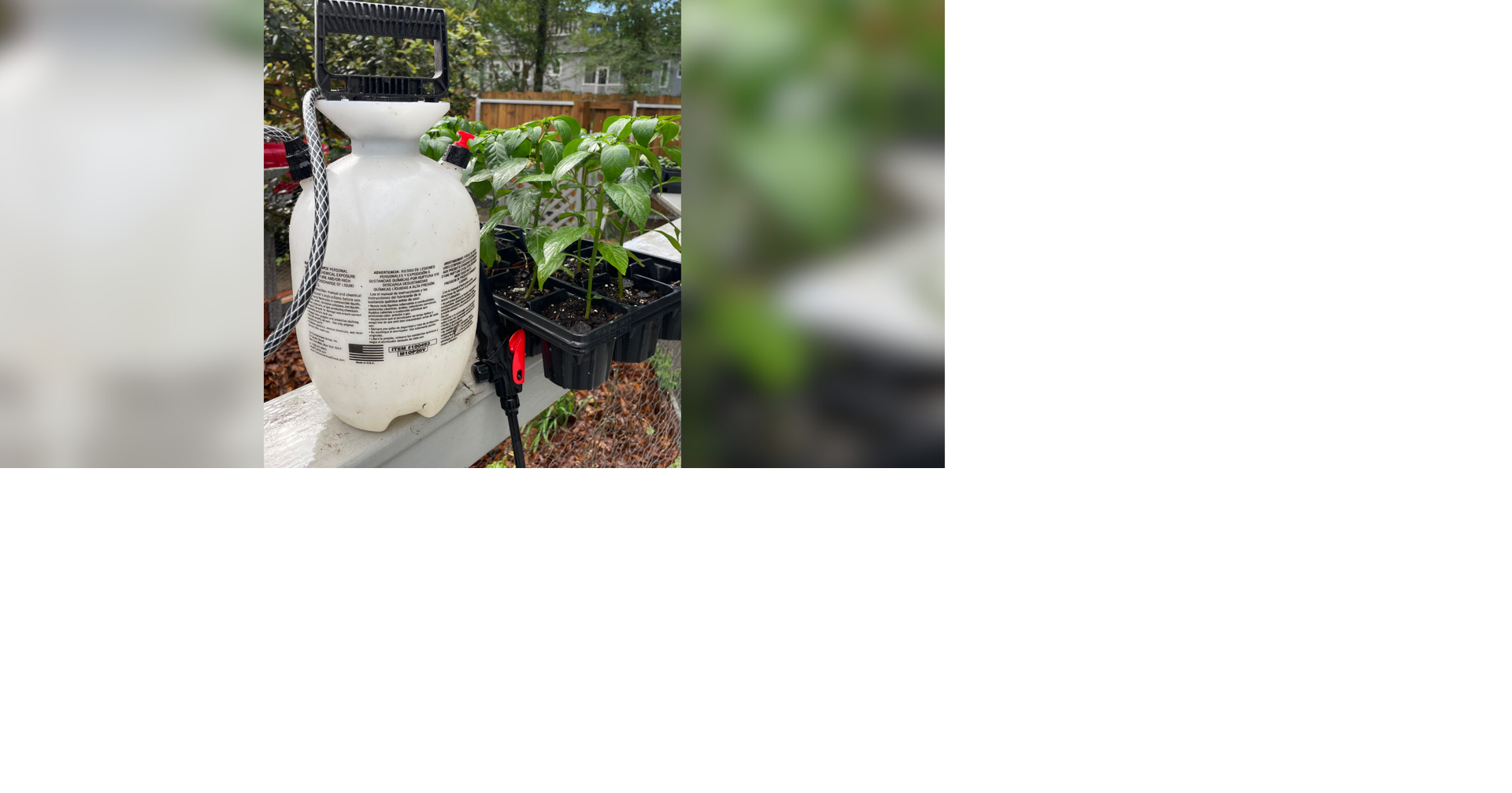 Organic insecticides for the home gardener | Style | lagniappemobile.com
