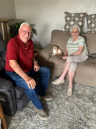 Community bands together to find Mitsi the cat | Local ...
