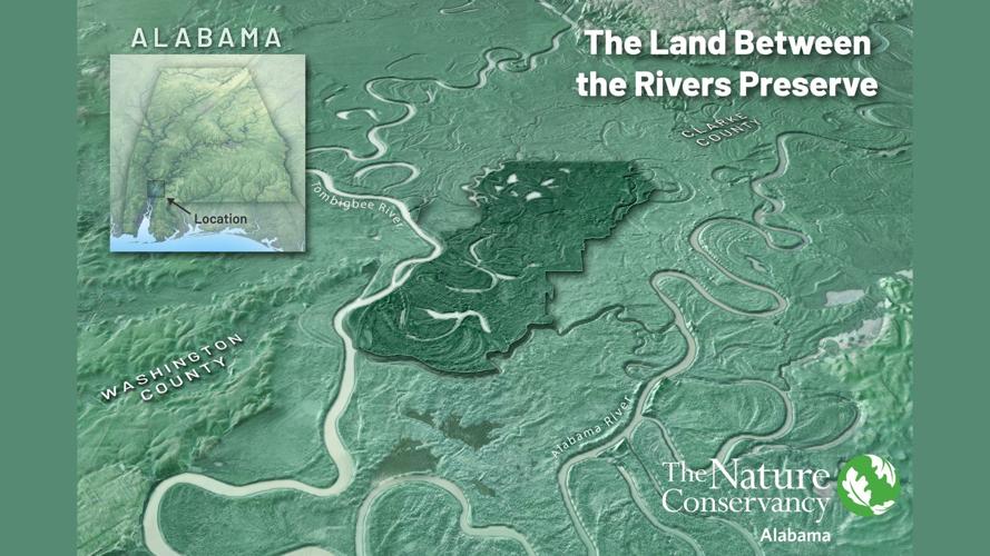 Mobile Delta preserve to be named for E.O. Wilson | News ...