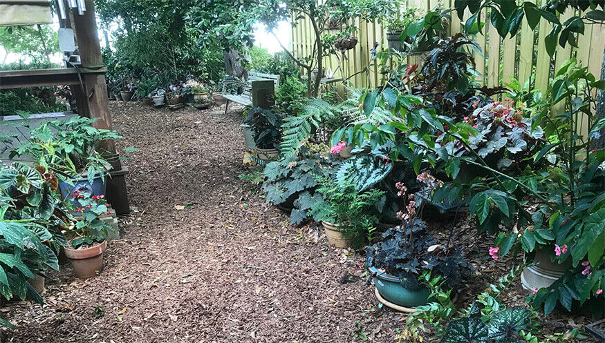 April brings special gardening opportunities in coastal Alabama ...