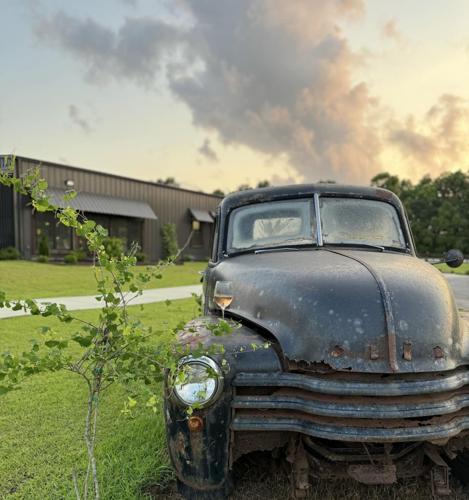 Sprawling vineyard, winery set to open in Fairhope | Cuisine ...