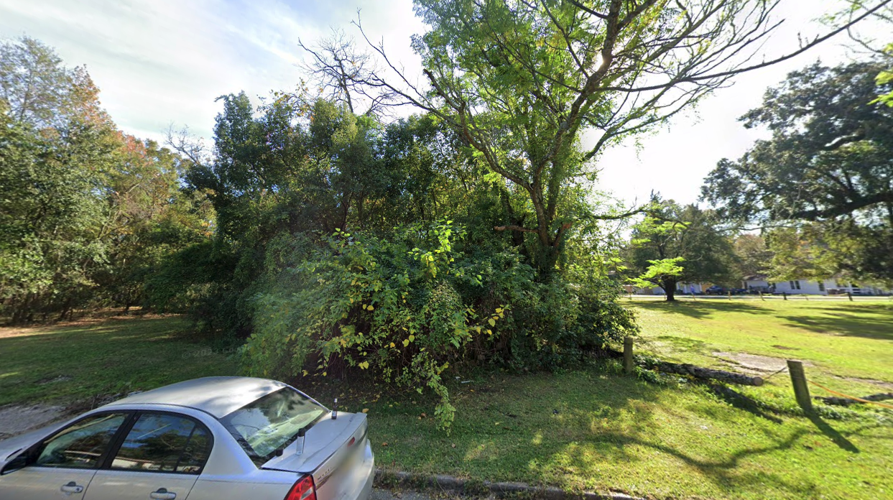 Land clearing lets Crichton Leprechaun Tree stand out | News ...