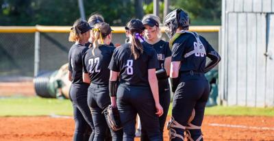 Badgers’ softball season comes to an end | Sports | lagniappemobile.com