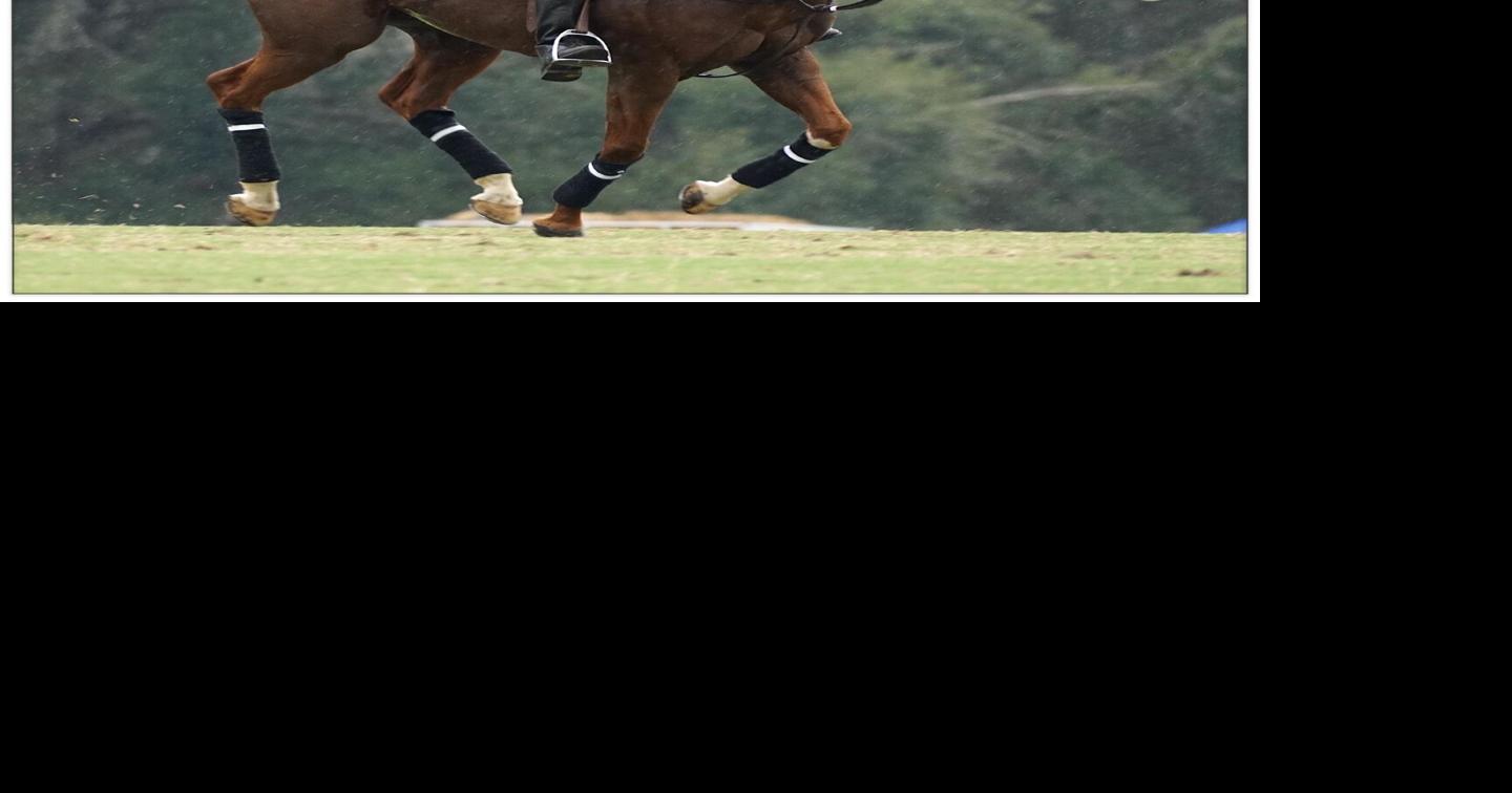 ‘Chukkers for Charity’ brings polo back to Baldwin County | Sports ...