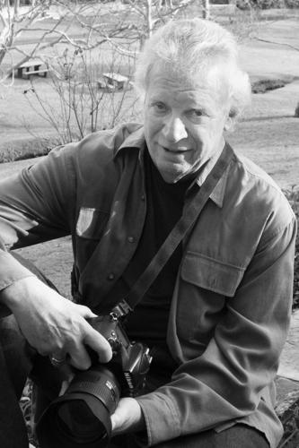 Flamenco Whirls its Way to ArtWalk | Arts | lagunabeachindy.com